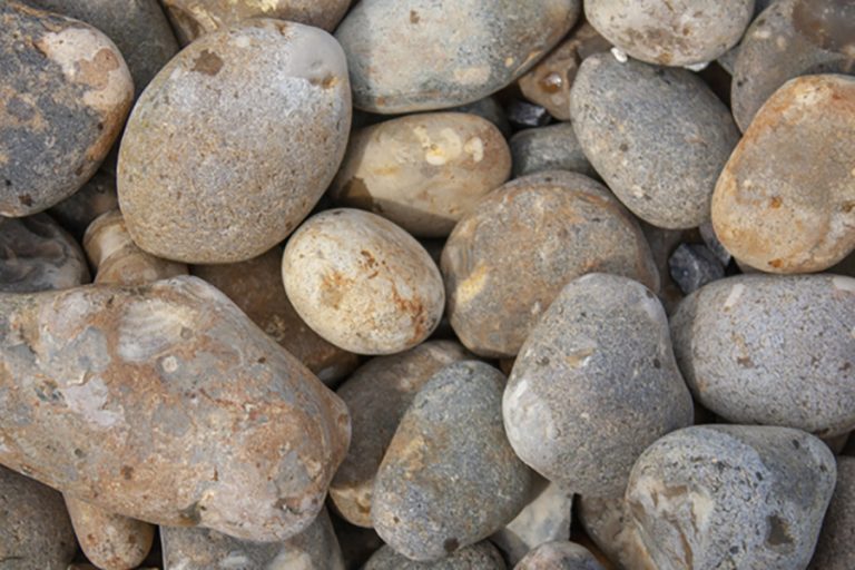Scottish Pebbles 40/60mm – Wiltshires Babbacombe